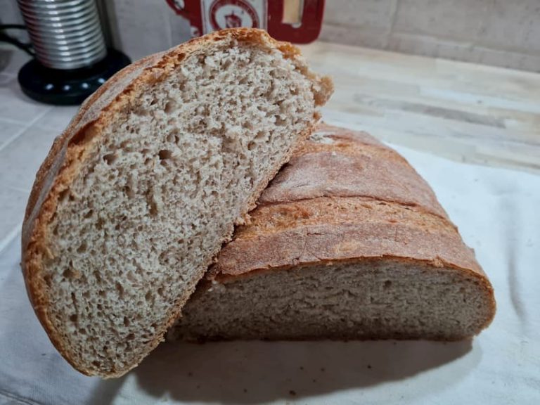 Ricetta Pane Bonci Bimby 24 ore di lievitazione - PizzaeFocaccia.it